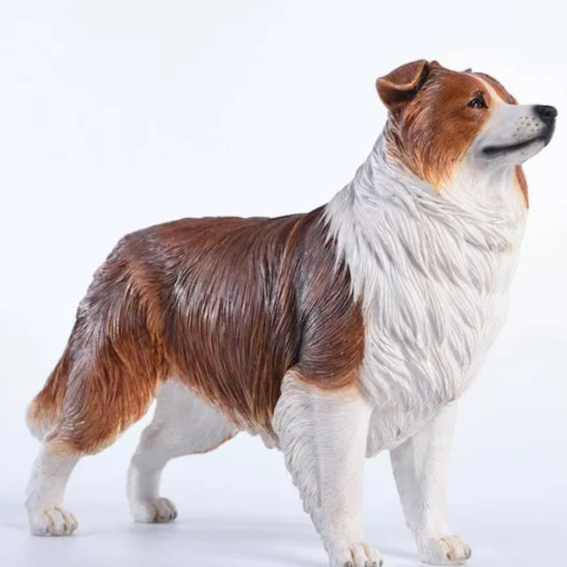 Springer Spaniel - Black and White - KB Copper Collars Australia